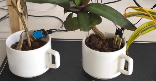 Professor's Innovation Ensures Your Plants Won't Die While You Vacation