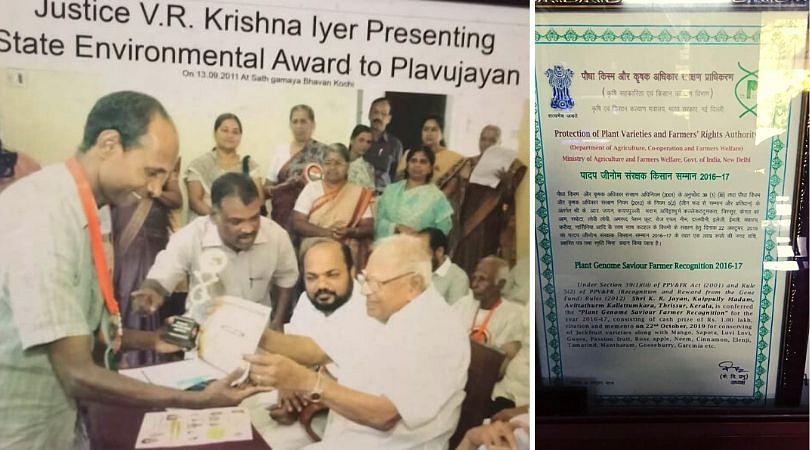 Without Owning Land, Kerala Man Sets Up 'Jackfruit Villages' With ...