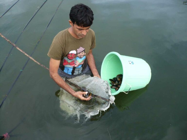 Couple Teaches 1000s of Farmers Across India How To Grow Pearls In Home ...