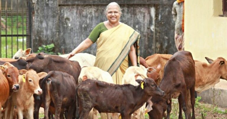 Working For 30 Years, Prof Revives Vechur Cattle Breed From Brink Of ...
