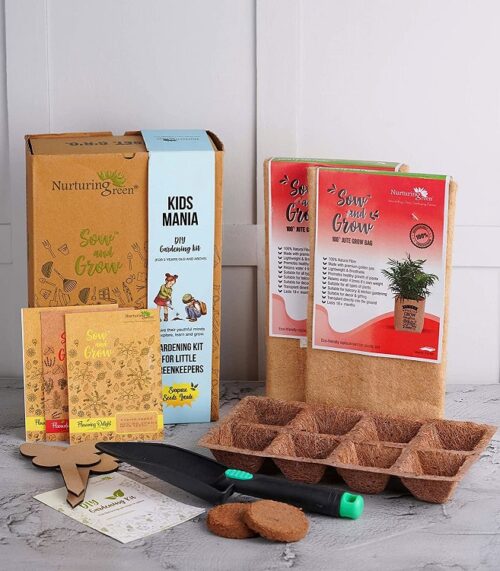 Start Your Home Vegetable Garden Today with These 10 Must-have Tools & Kits