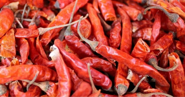 Mirchi Map of India: 5 GI-Tagged Indian Chillies Famous For Their Flavour
