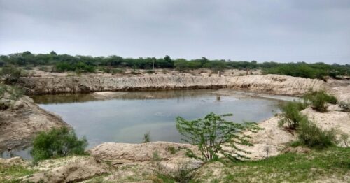 Engineer Uses Ancient Indian Paintings to Create 18-Acre Oasis In the ...