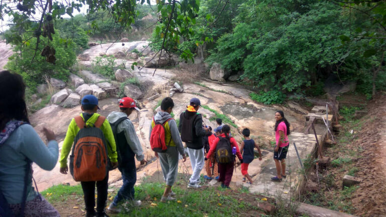 8 Nature & Adventure Summer Camps To Unlock Your Child’s Creativity