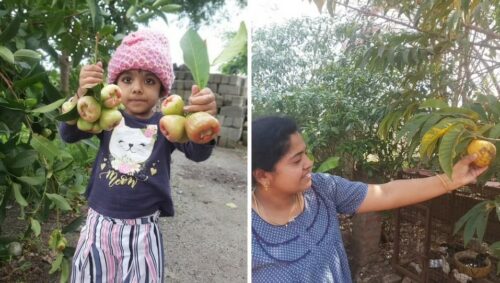 This Gorgeous Paint-Free, Mud Home Needs 50% Less Cement & No ACs in ...