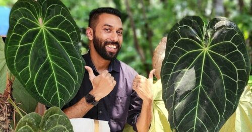 10 ‘Plant Influencers’ You Must Follow To Start Your Organic Urban Garden