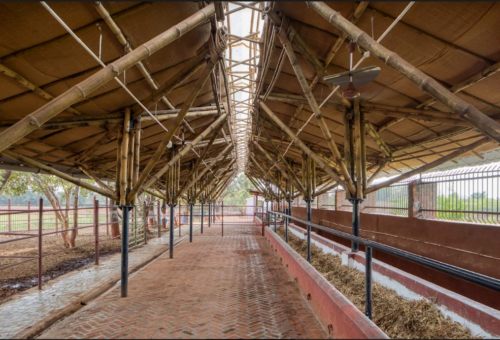 Architects Transform Villages with Naturally-Cool Homes & Earthquake ...