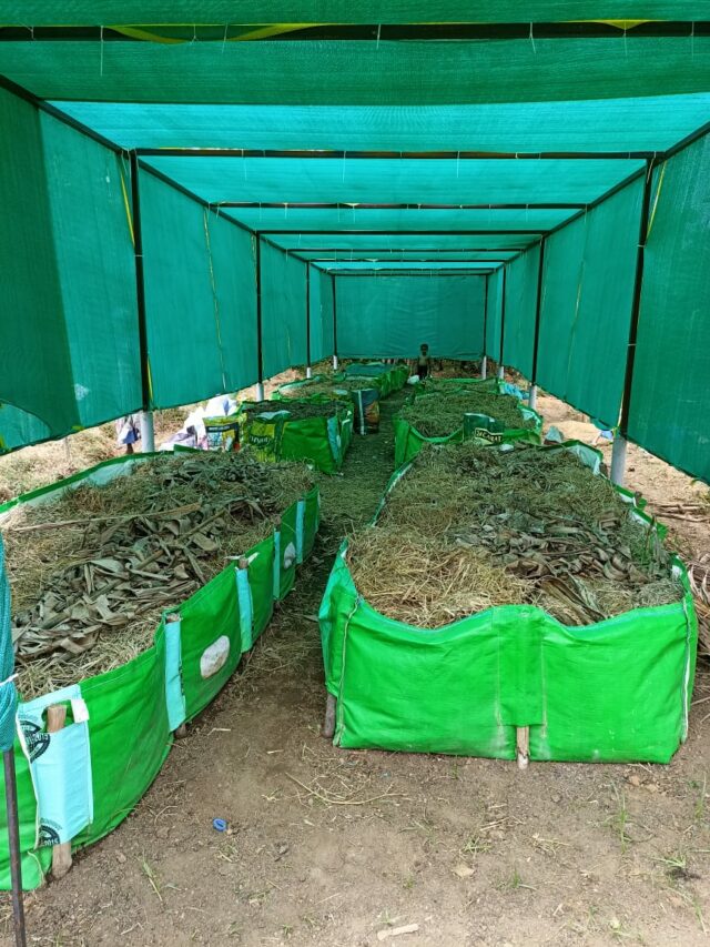 TN Home Gardener Starts Business to Sell Vermicompost & Organic Potting ...