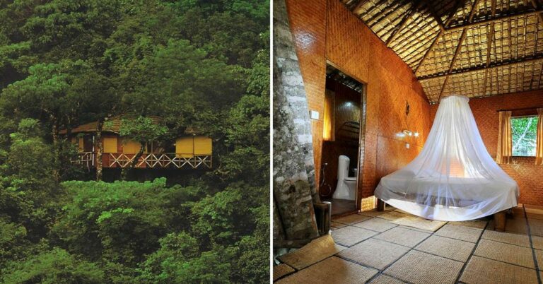 10 Tree Houses In India For An Unforgettable Vacation 40 Feet In The Air