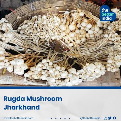 8 Must-Try Monsoon Food Delicacies From Across India