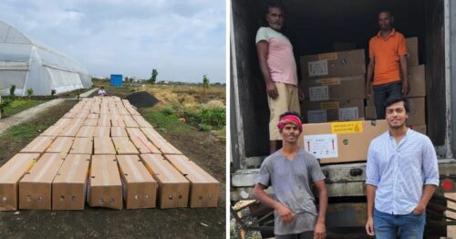 Bhopal Boy Aims to Power An Avocado Farming Revolution