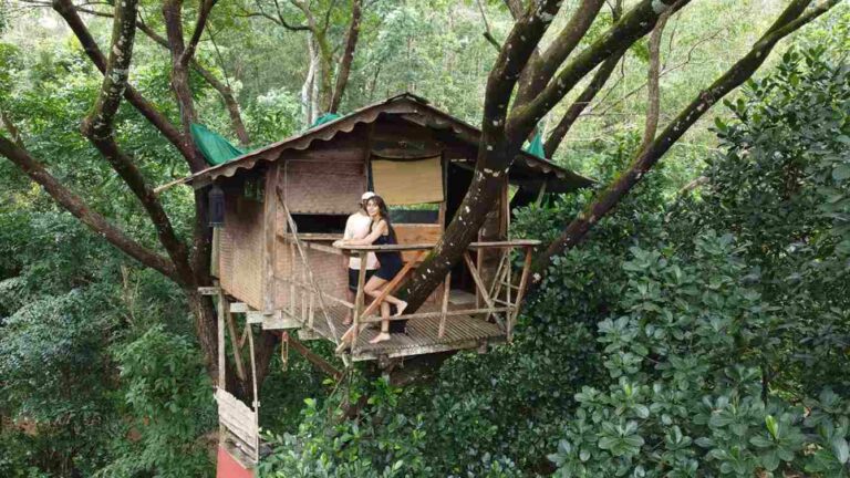 Tree Houses to Composting Lessons: Farm Teaches A-Z of Organic Farming