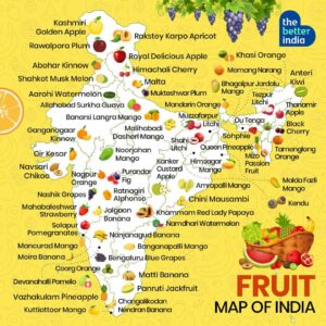 Fruit Map of India: 60 Famous Local Varieties & Where to Find Them