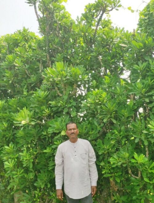 ‘Village Mad Man’ Helps Farmers Protect Fields With Bio-Fencing
