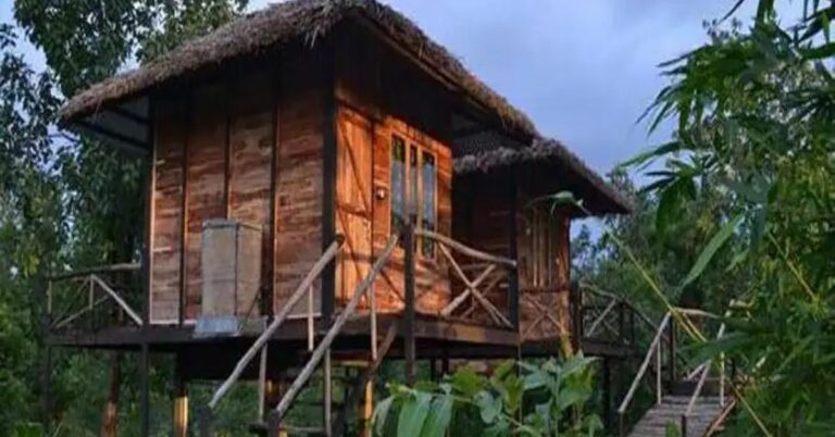 8 Best Jungle Camps in India for That Long Weekend Amid Nature