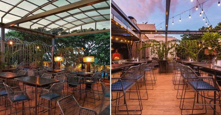 10 Best Pet-Friendly Cafes & Eateries in Bengaluru for a Wholesome Time