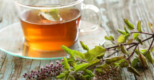 Science Says Tulsi Tea Is The Healthy Winter Drink You Need