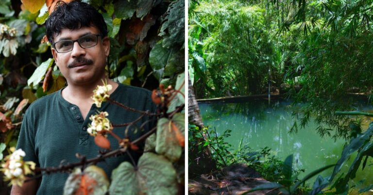 Ponds, Tropical Plants in Heart of Kerala: Man Turns Quarry into Dense ...