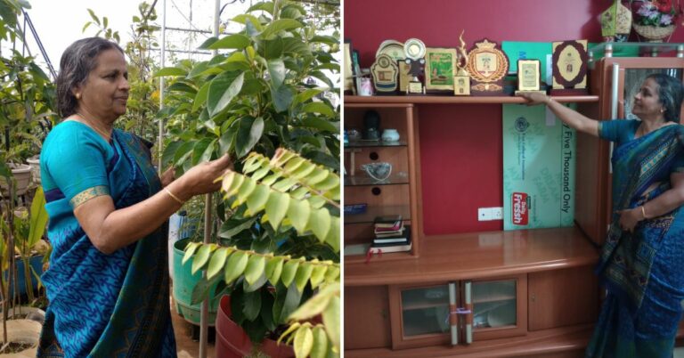 70-YO Grows Strawberries in Water Bottles, Palak in PVC Pipes On Roof