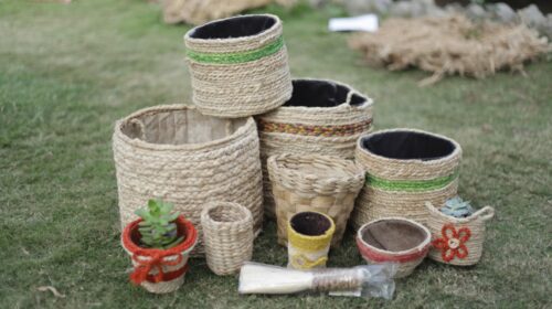 MBA Grad Turns Banana Waste into Eco-Friendly Crafts, Earns Lakhs