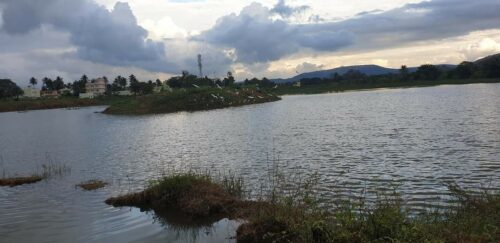 Bengaluru 63-YO Landscaper Revives Dying Lake; 4000 Saplings Planted