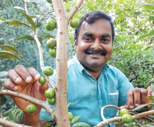 Kerala Man Grows 250 Exotic Fruit Varieties in His Garden