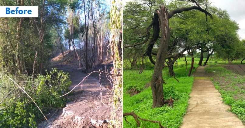 ‘How I Saved a Dying Historical Pond With 125 Volunteers & No Govt Funds’