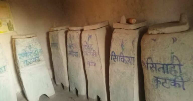 Woman Turns Hut Into 'Beej Bank' for Rare Millets, Named Brand Ambassador
