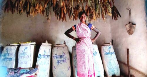 Woman Turns Hut Into 'Beej Bank' for Rare Millets, Named Brand Ambassador