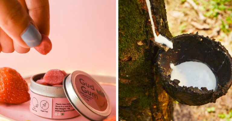 Brothers Save 700 KG of Chewing Gum Plastic from Polluting Earth