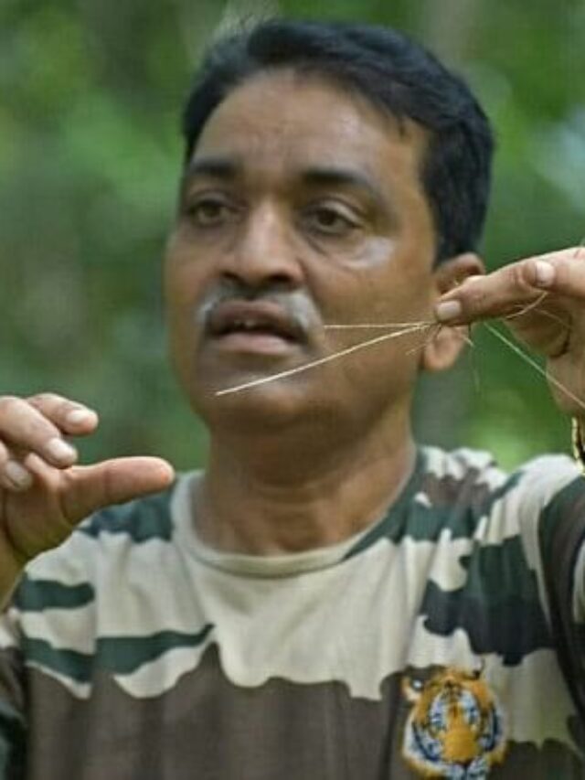 India’s ‘Grass Man’ Uses Award-Winning Method, Create Habitats for Wildlife India’s ‘Grass Man’ Uses Award-Winning Method, Create Habitats for Wildlife