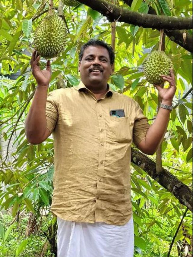 Small Spaces, Big Harvest: Step-By-Step Guide to High-Density Farming