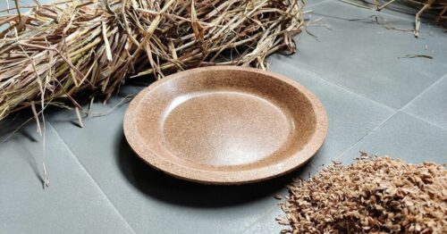 Brothers Use Waste From Rice Farming to Make Animal-Friendly Tableware
