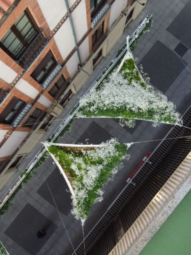 In Packed Urban Landscapes, These Green Canopies Can Cut Pollution