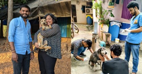 How To Help an Animal in Need? Look up These 10 Animal Rescue Heroes