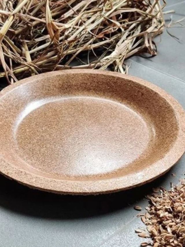 5 Indian Startups Turning Agri Residue into Eco-Friendly Kitchen ...