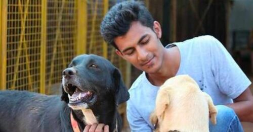 How To Help an Animal in Need? Look up These 10 Animal Rescue Heroes