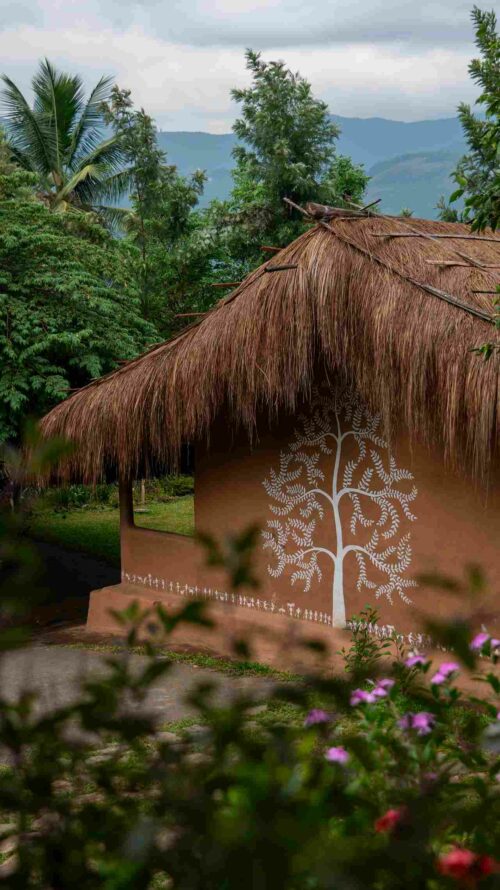 65-YO Kerala Homemaker Runs Western Ghats Homestay With Treehouses