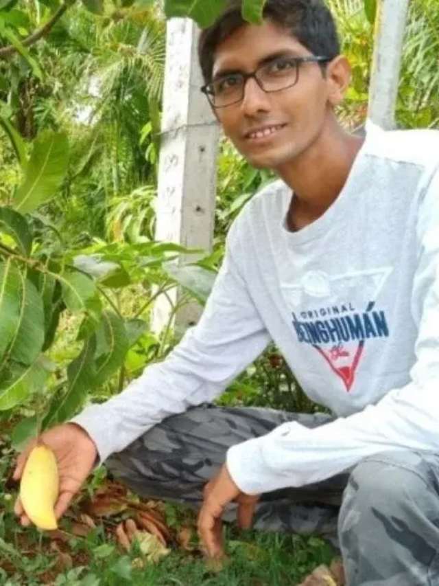 Mango Media Hyderabad at William Howerton blog