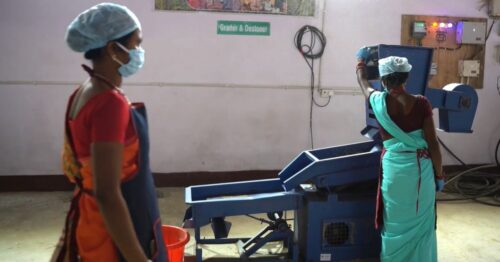 How an IAS Officer Is Turning Jharkhand District Into ‘Ragi Capital of ...