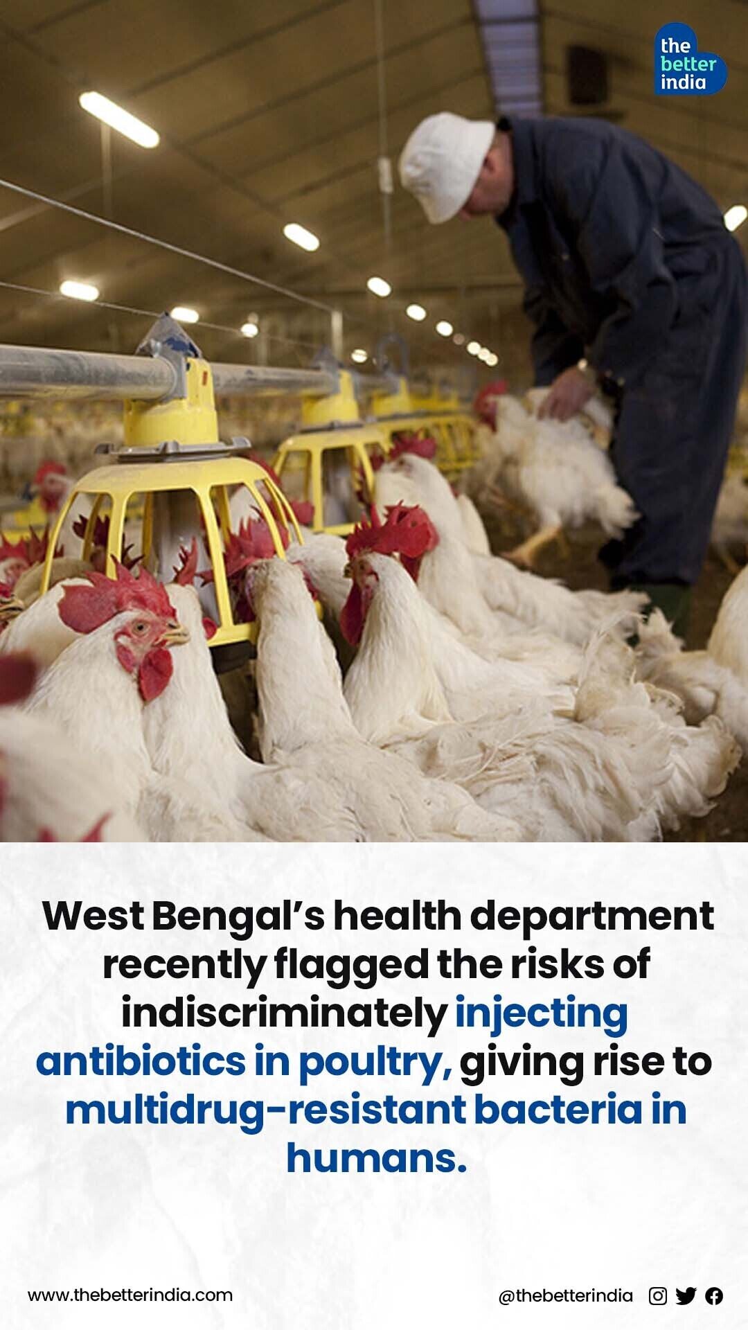 Human Health Risk From Antibiotics in Chicken: What You Should Know