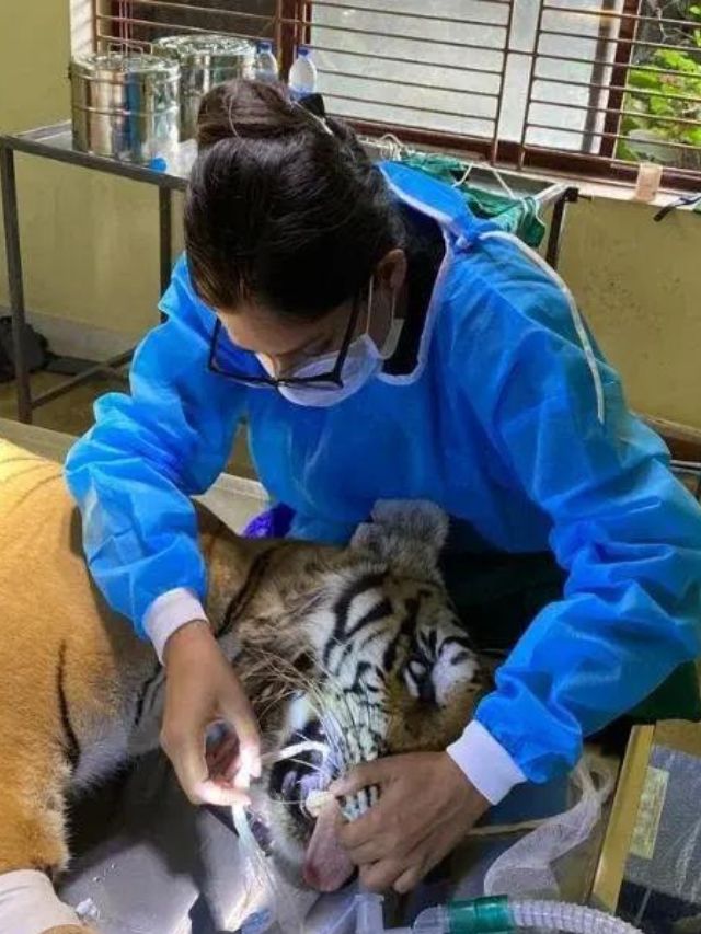 The State Forest Dept Calls This Animal Lover on Leopard Rescue Missions