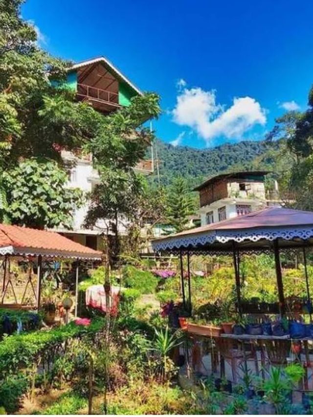 5 Budgets Homestays in The Mountains For That Dreamy Winter Break