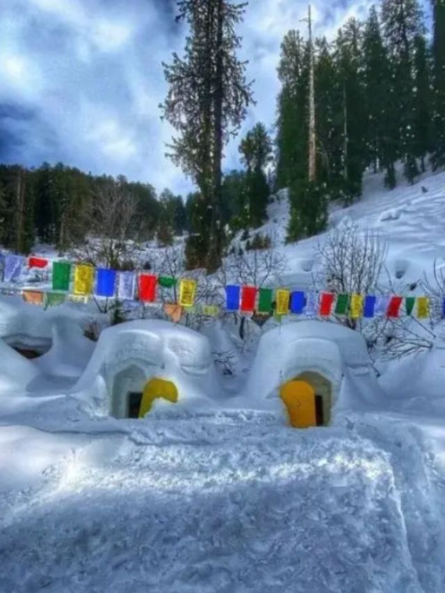 Igloos in India? Experience Himalayan Snowfall In This Himachal Village