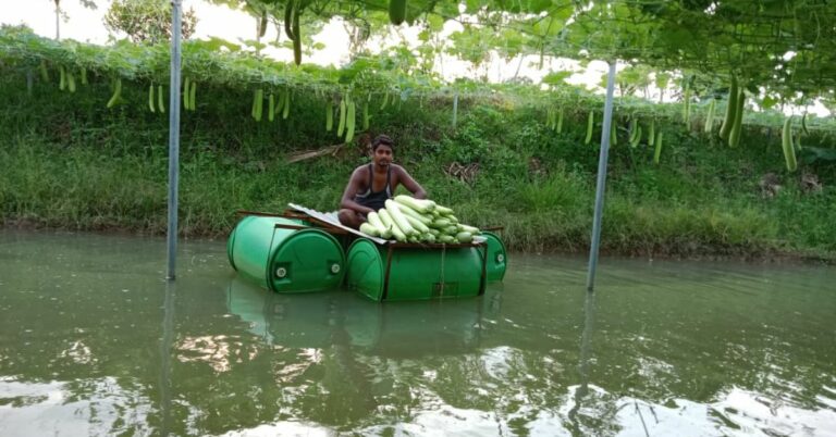 Farmer's Innovative Farming Helps Him Grow Vegetables Over Ponds.