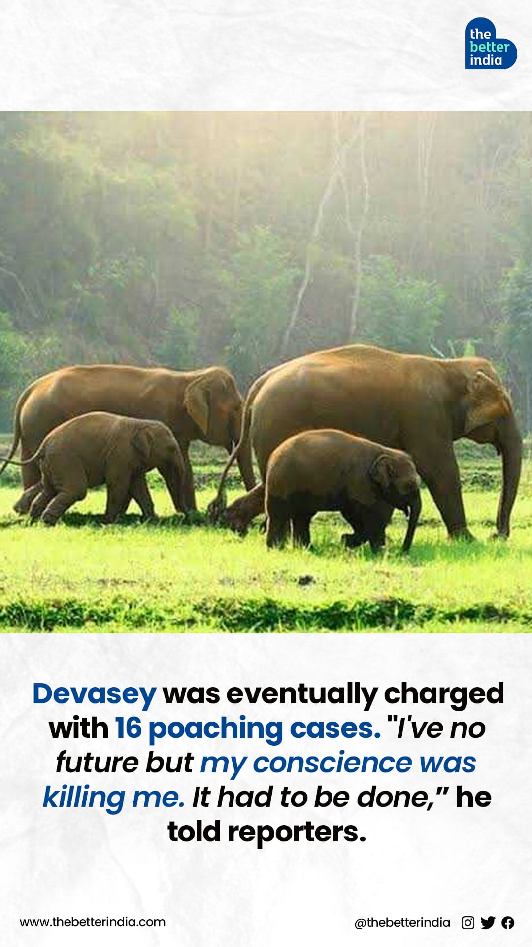 'Poacher' Real Story Behind Largest Ivory Poaching Ring in Indian History