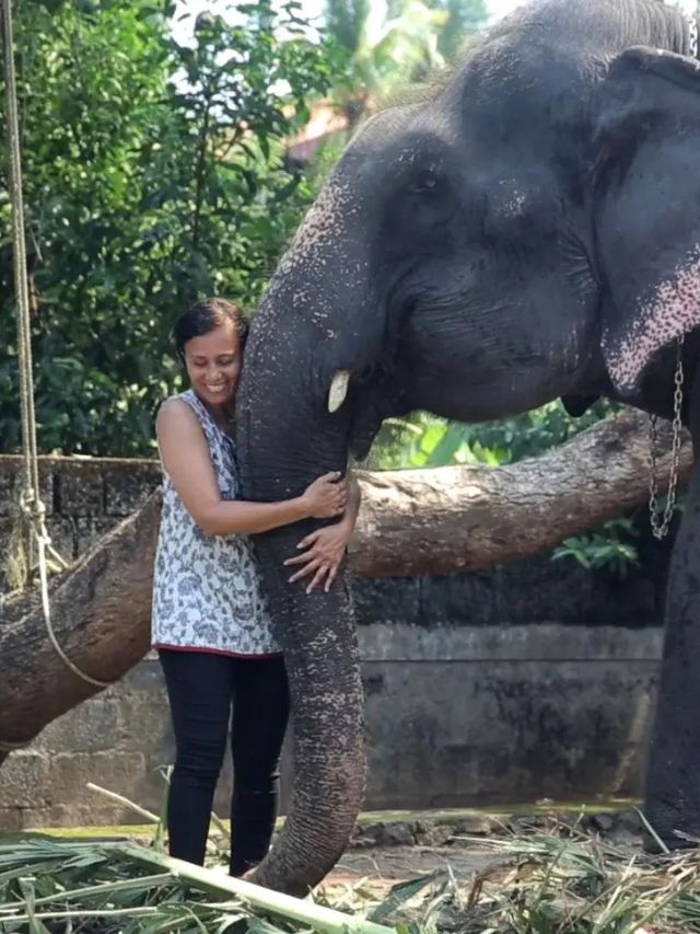 Poacher: 5 Indians Who Dedicated Their Lives to Saving Elephants