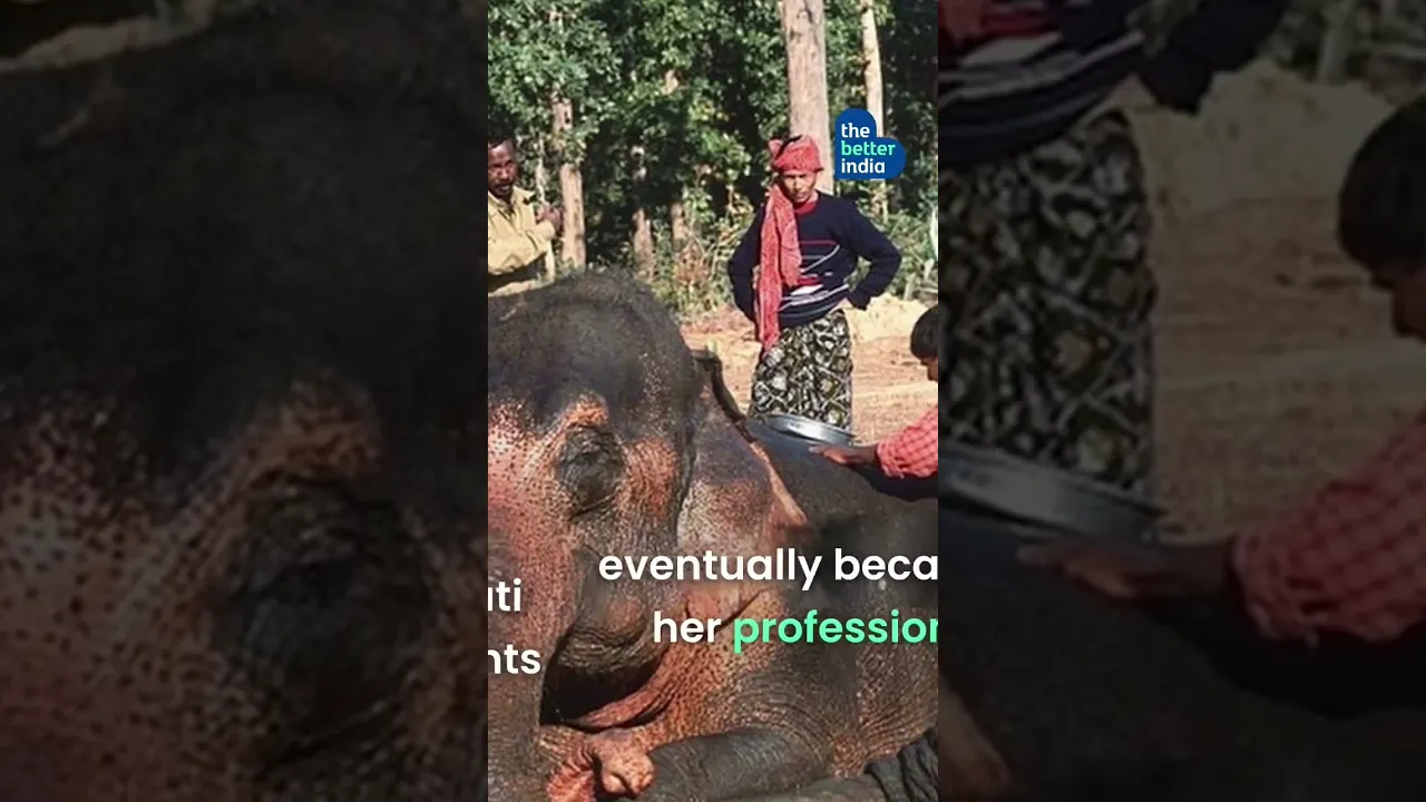 India has conferred #PadmaShri upon 67-year-old Parbati Baruah, also known as ‘Hasti Kanya ...