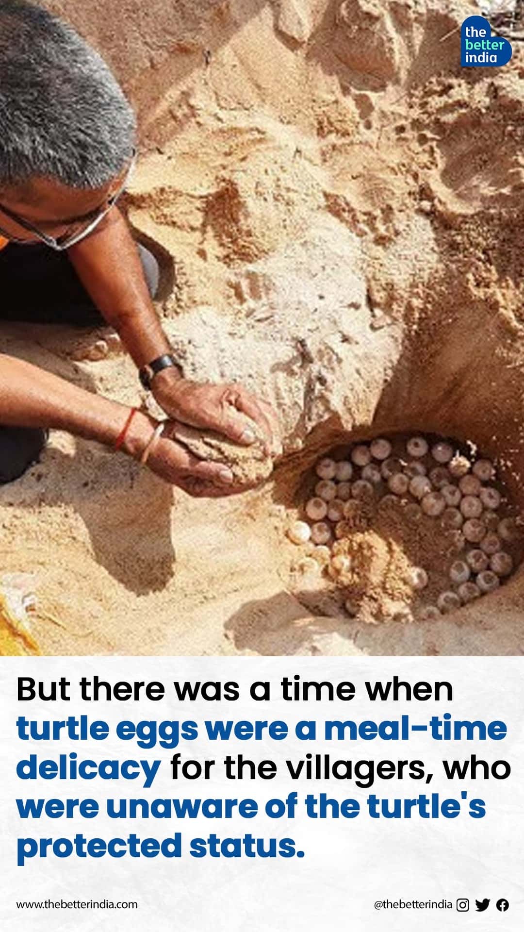 Velas Turtle Festival: How a Village Is Saving Endangered Turtles