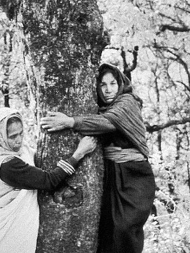 Fascinating History of Tree Conservation Movements in India